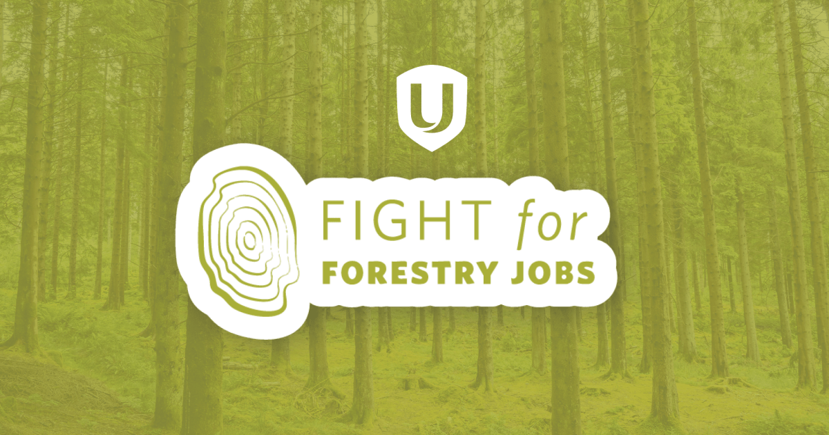Letter to Premier Ford supporting Ontario’s Forestry Sector and ...