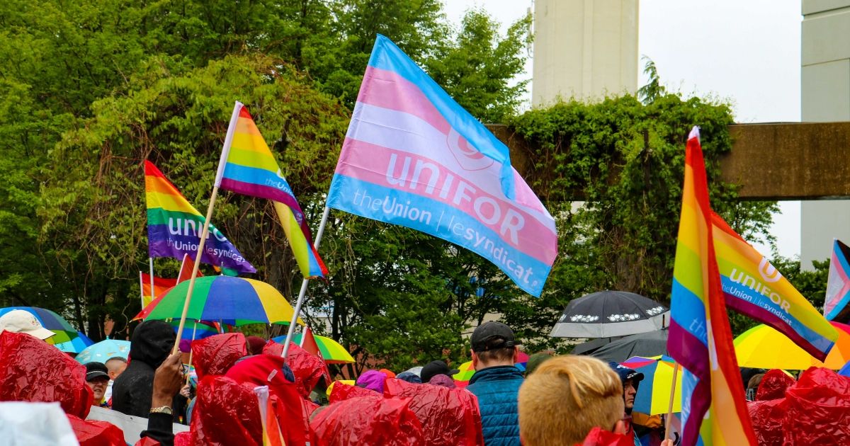 Unifor appalled as Ontario Education Minister Lecce joins growing right ...