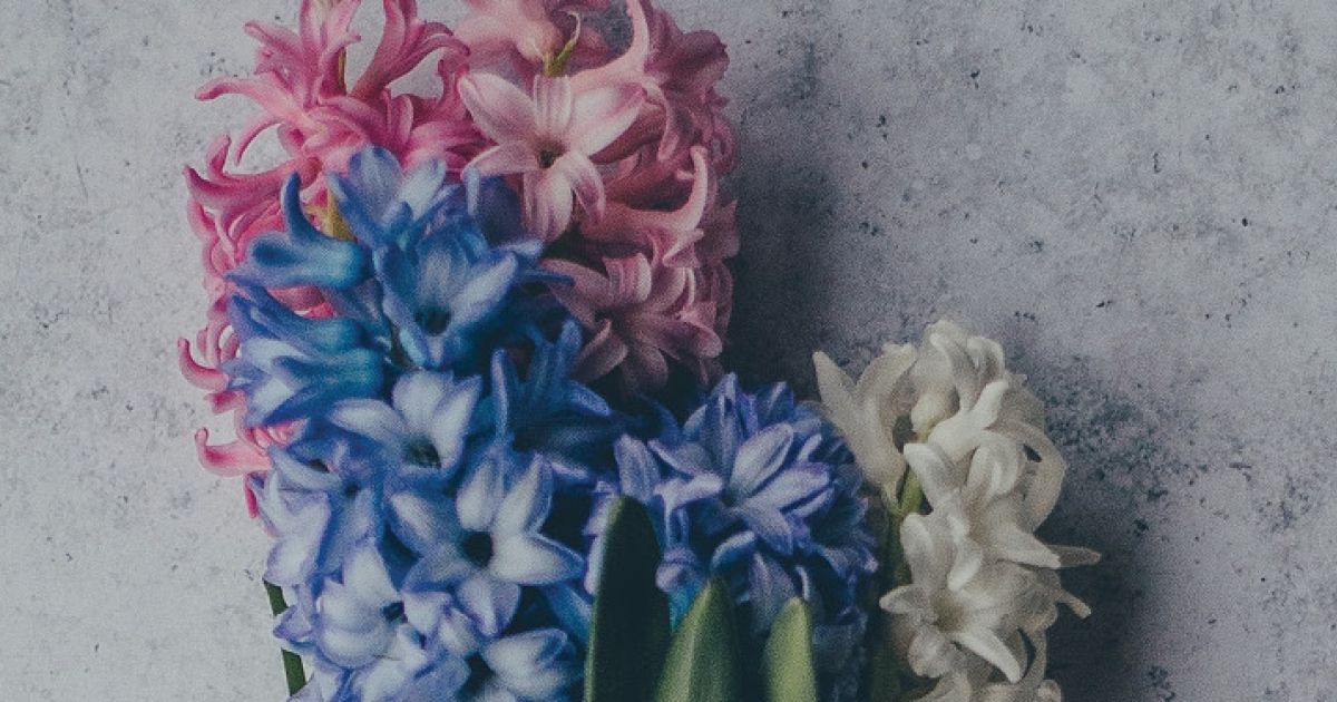 Trans Day of Remembrance, 2022 | Unifor