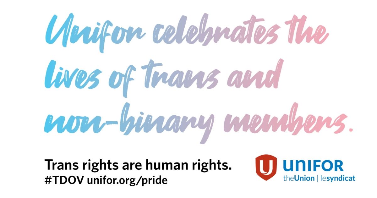 Statement On The International Day Against Homophobia Transphobia And