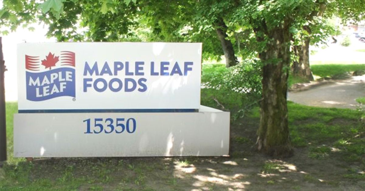 Workers at Maple Leaf Foods ratify new agreement with strong gains | Unifor